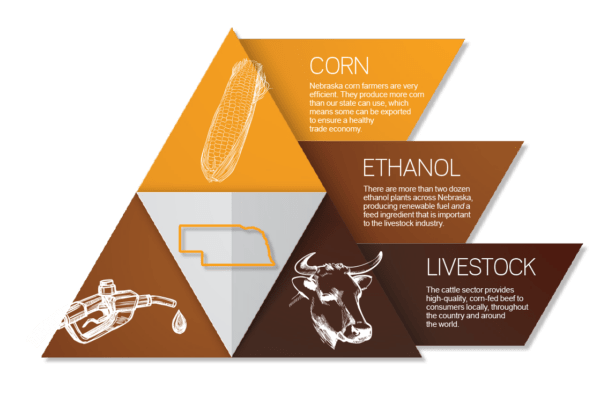 Golden Triangle | Nebraska Corn Board