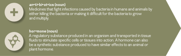 Why Farmers Treat Livestock with Antibiotics or Hormones