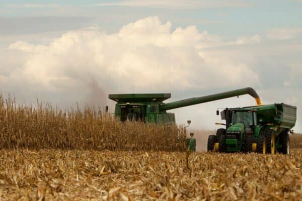Sweet Corn vs Field Corn | Corn Facts | Nebraska Corn Board