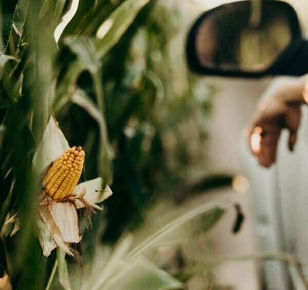 Corn Farming Education | Nebraska Corn Board