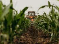 Nebraska Corn 101: Learn More About Corn